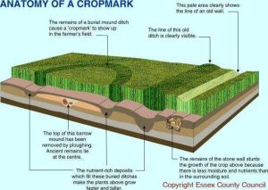 Anatomy of a cropmark - Shropshire Council Newsroom