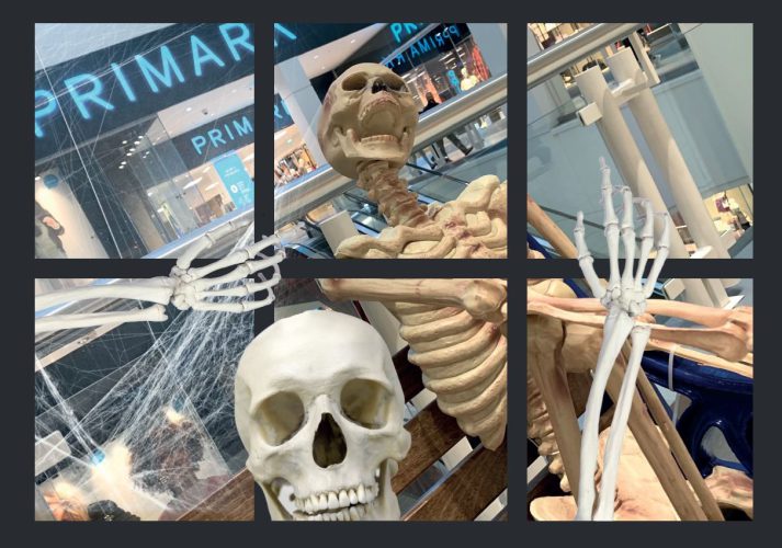 Free pumpkins for children at Shrewsbury’s Darwin shopping centre this ...