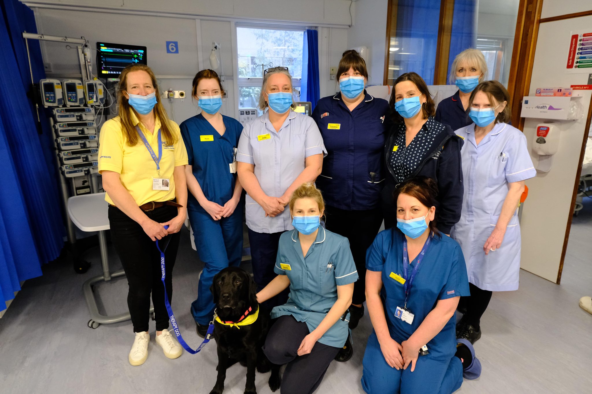 News from our partners: Therapy dogs are spreading smiles in critical ...