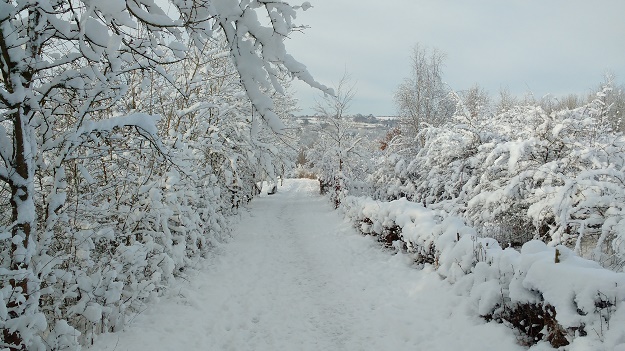 Cold weather and snow this week - advice about staying safe and well ...