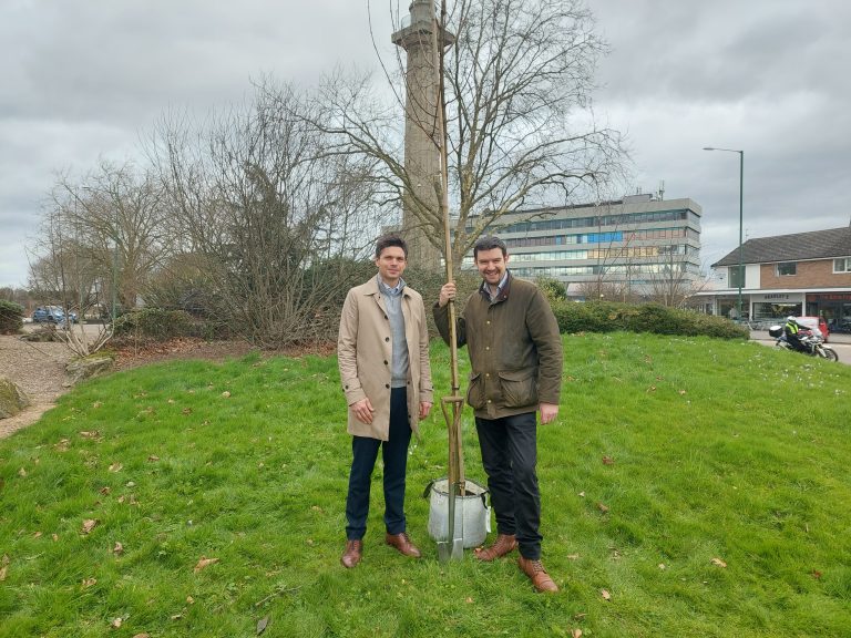 Tree planted to mark success of carbon-neutral highways maintenance ...